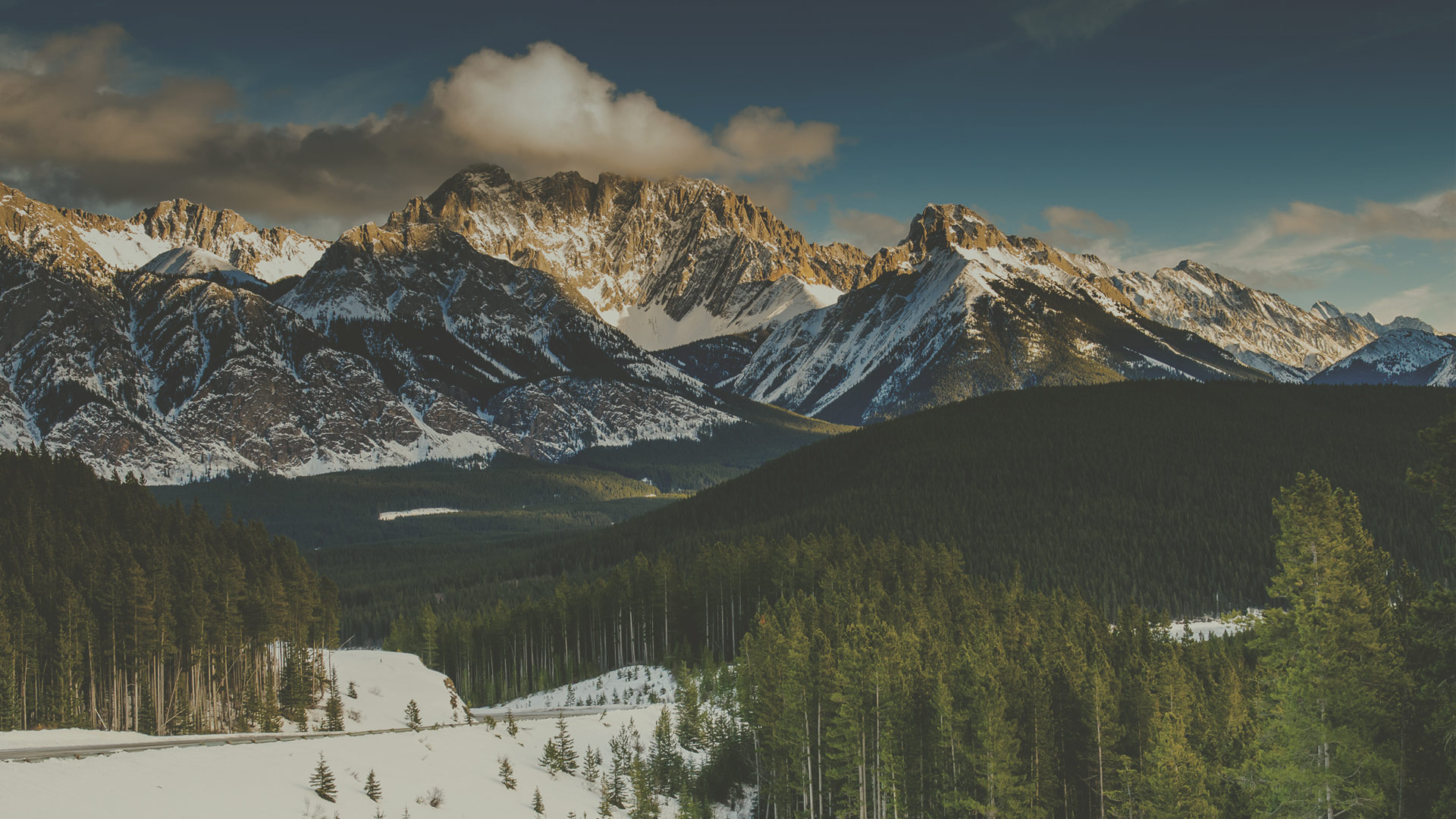 Oblique intellegam – Stubble Management