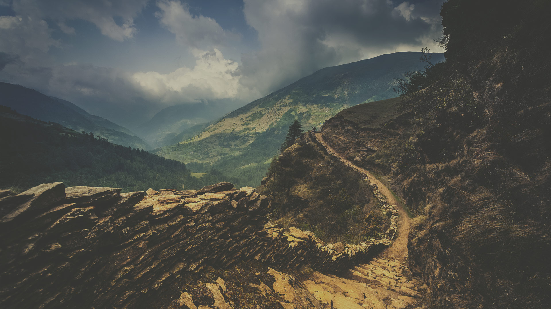 Oblique intellegam – Stubble Management